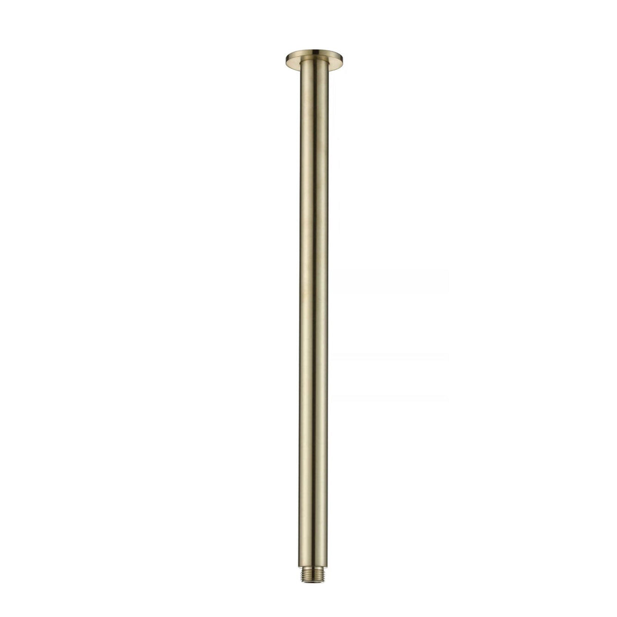Ceiling Shower Arm 300mm Brushed Gold CLIO | Arova Melbourne – AROVA
